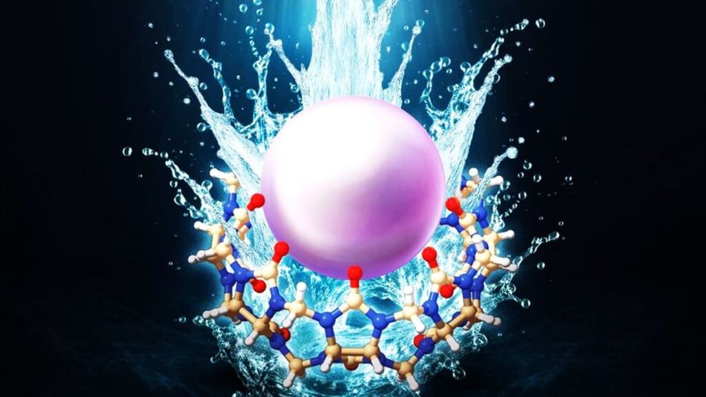Chemistry: First Proof of Binding Force Inherent in Cavity Water ...
