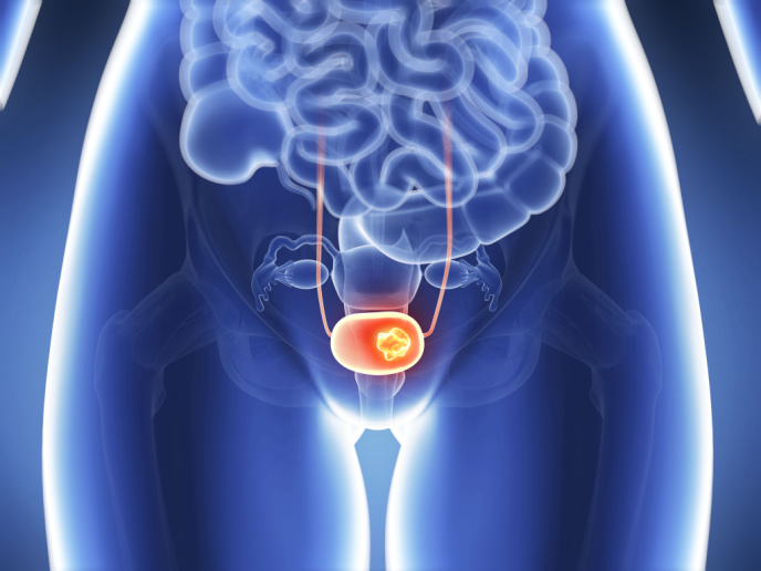 Putting old drugs to new use: the paradigm of bladder cancer ...
